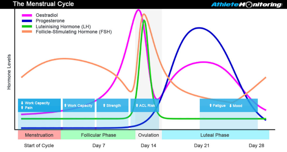 Menstrual cycle tracking app, athlete cycle tracking, period tracker ...